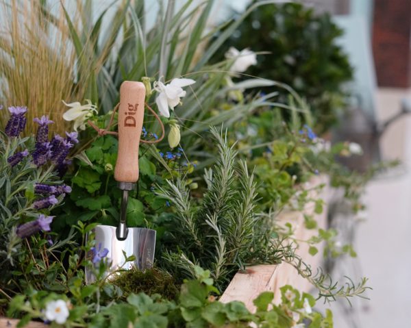 Dig - create a beautiful garden and discover the joy of gardening