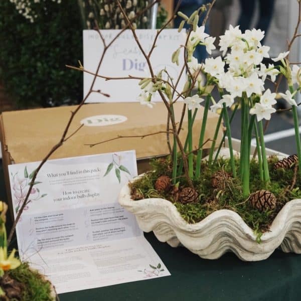 How to... make an instant Indoor Bulb Display - Dig