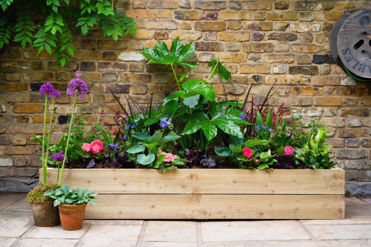 Garden design starter guide - Dig