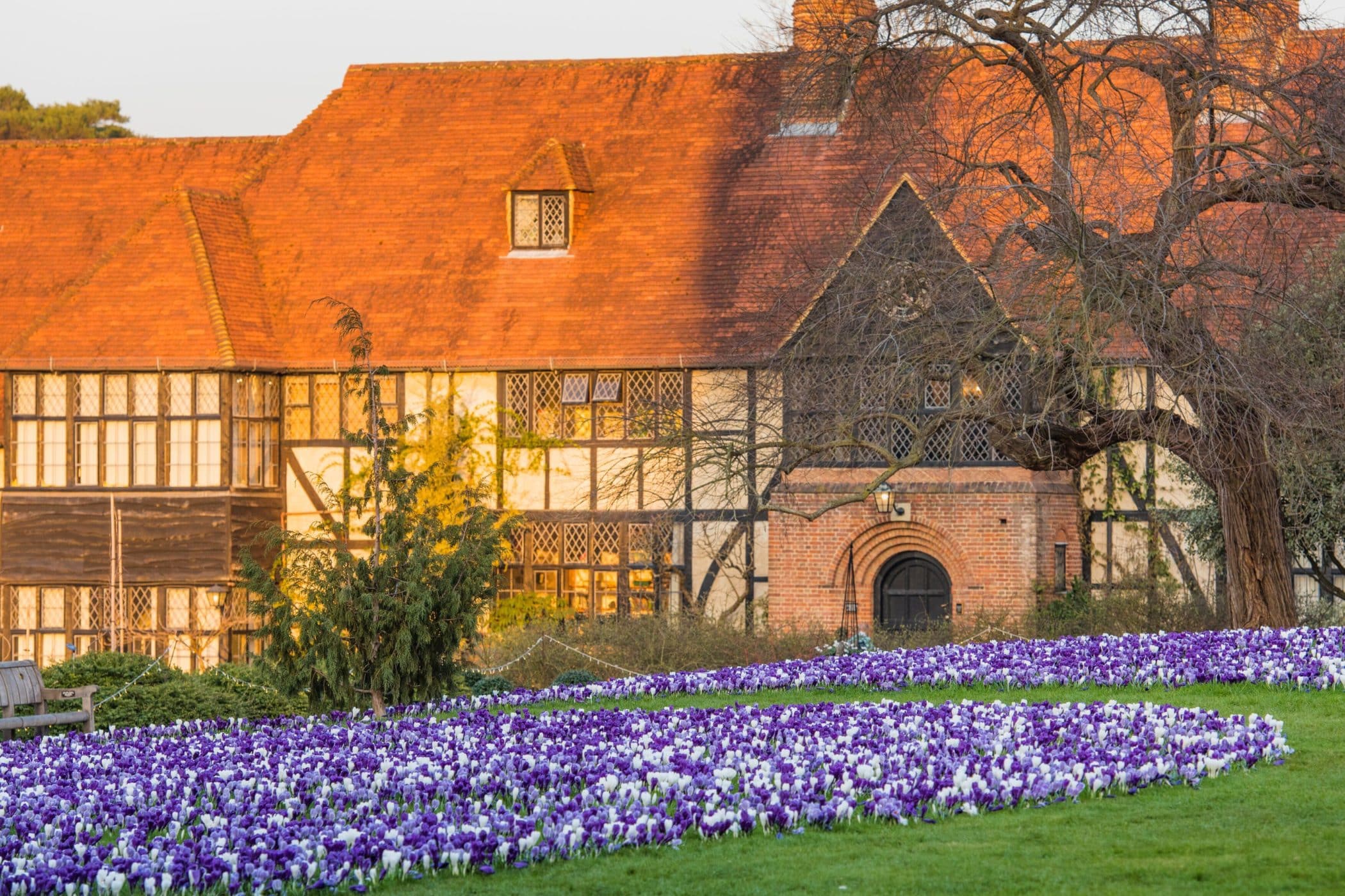 Garden of the Month: RHS Wisley - An Old Laboratory Renewed - Dig