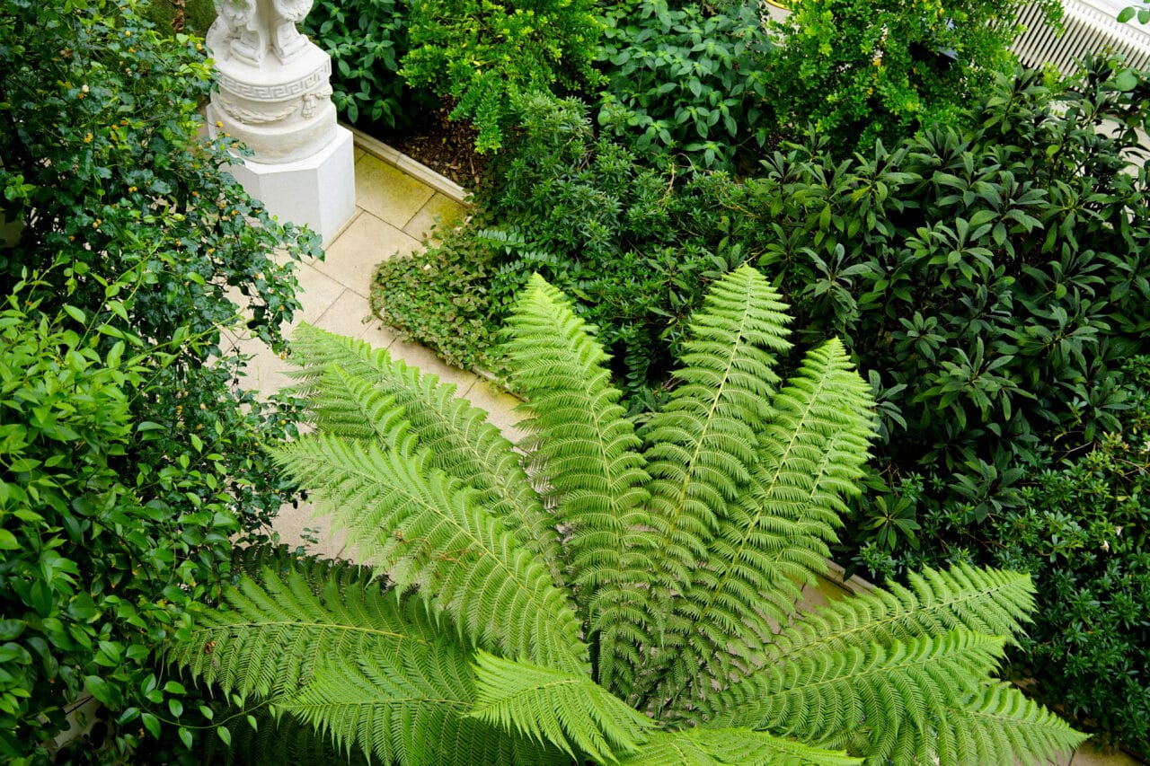 500 acres of inspiration at Kew - Dig