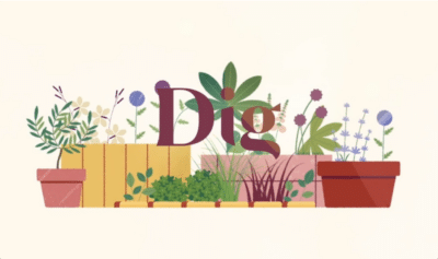 Dig - create a beautiful garden and discover the joy of gardening