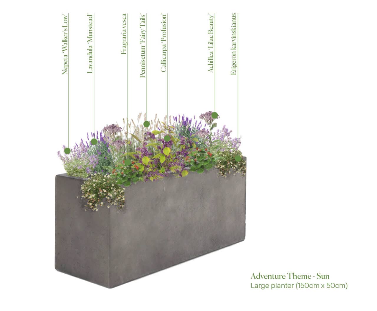 Introducing: Plant Collections (New for 2025!) - Dig